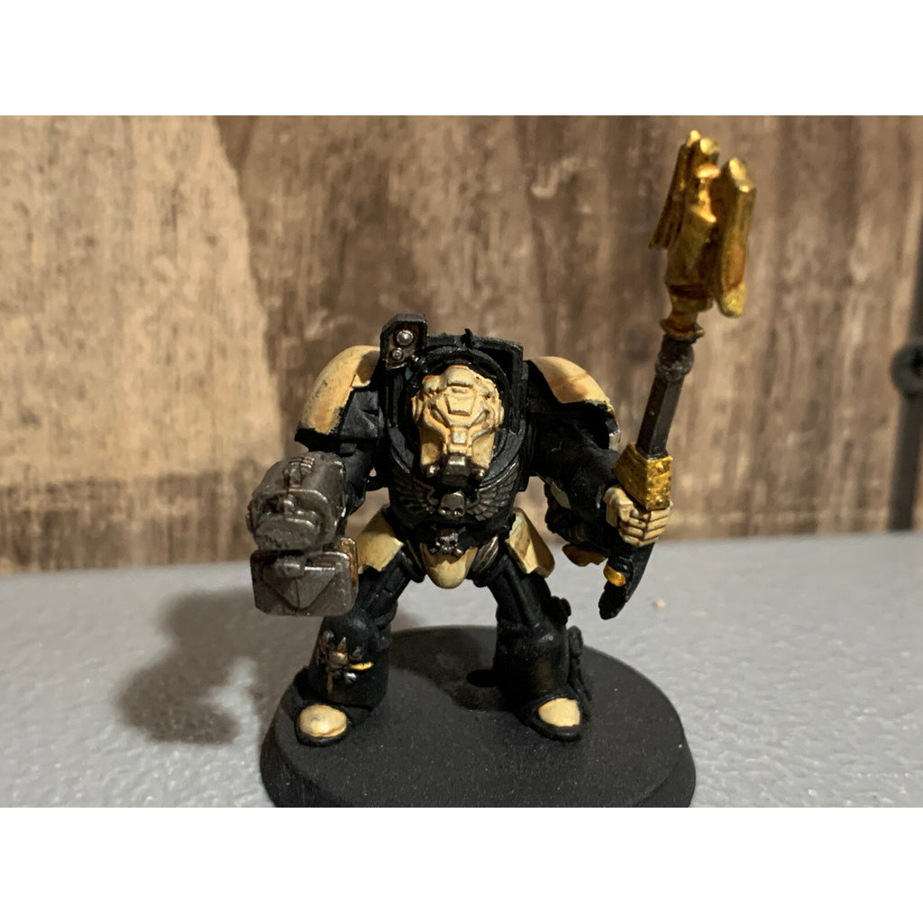 A7315 WARHAMMER 40K SPACE MARINES CUSTOM TERMINATOR CHAPLAIN PAINT ...
